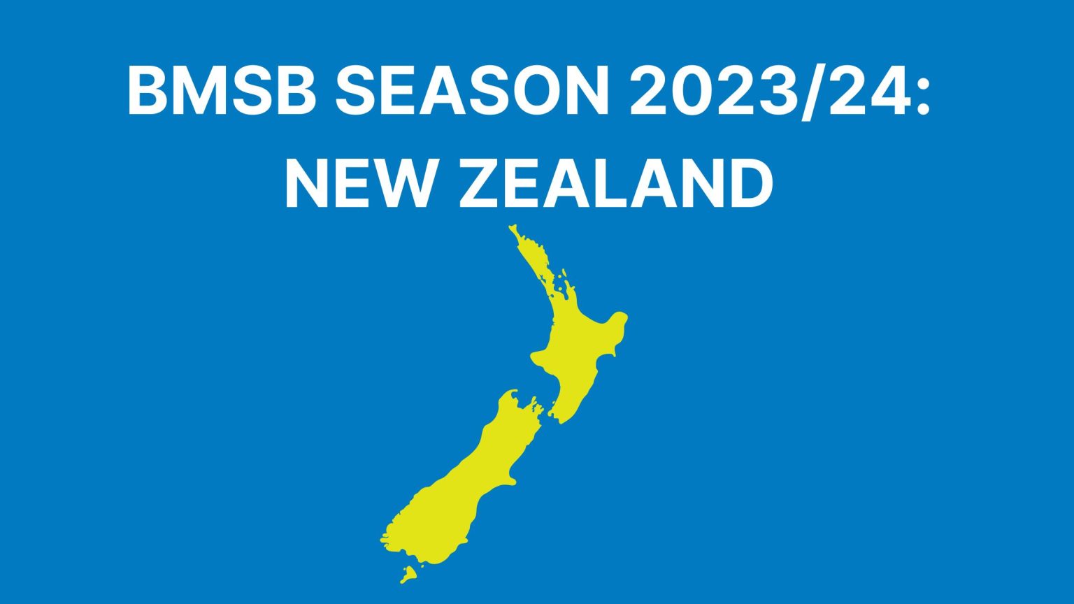 Transolve Global | Brown Marmorated Stink Bugs (BMSB) Season 2023/2024 ...