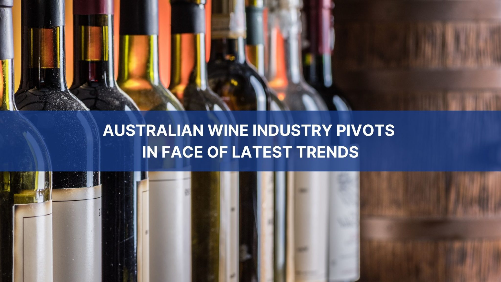 Transolve Global | Australian Wine Industry Pivots In Face of Latest Trends